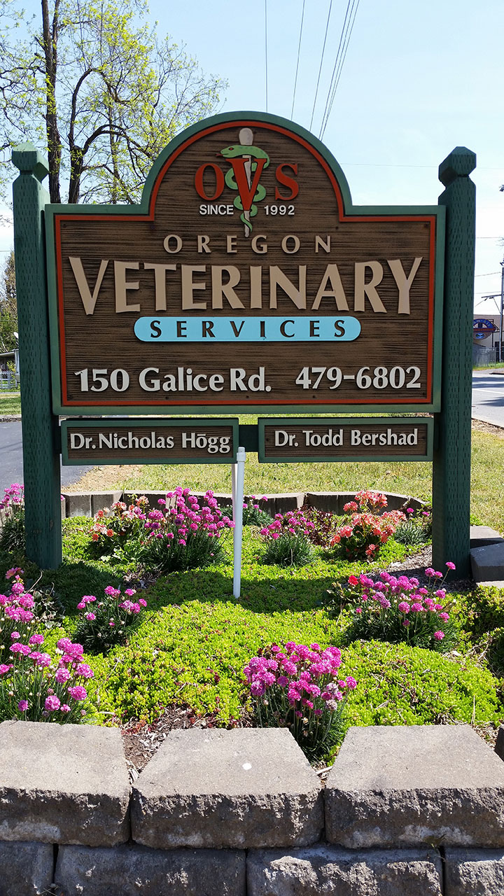 Veterinarian in Merlin, OR | Oregon Veterinary Services